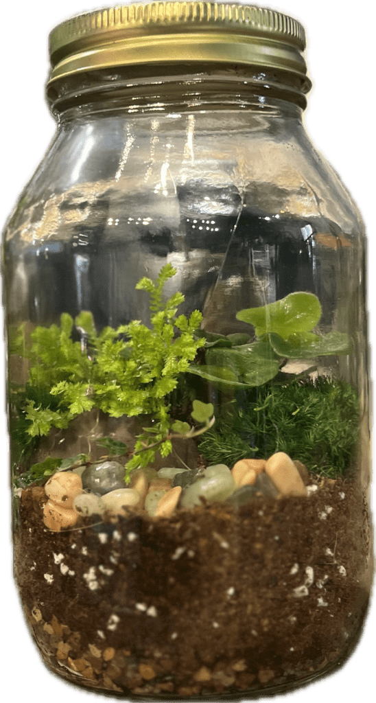 Classes - Terrarium